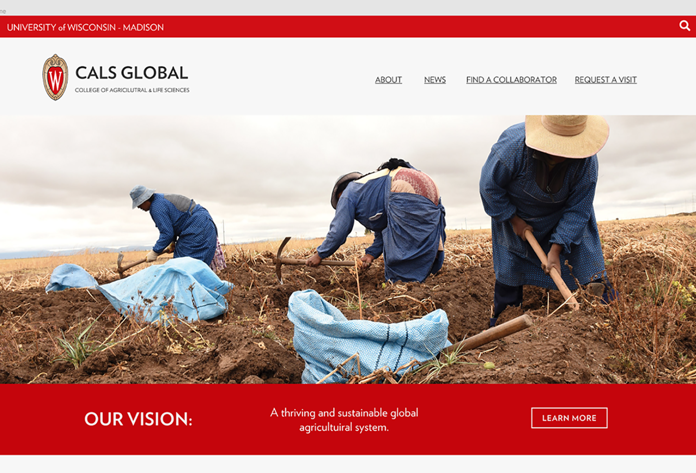 Mary Cummins - Developer & Designer