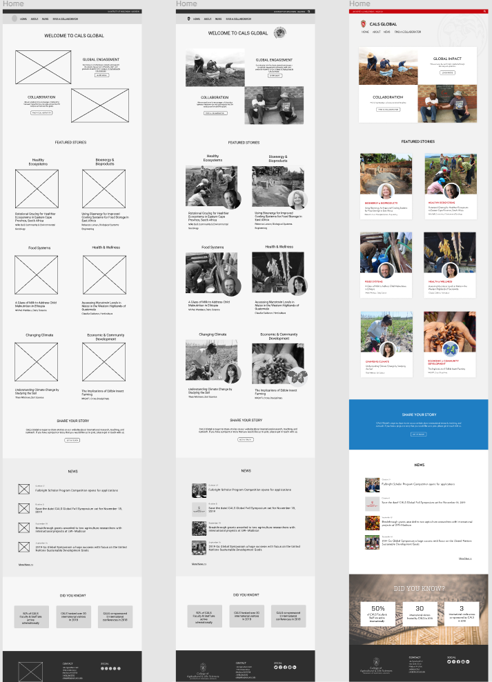 Mary Cummins | Portfolio